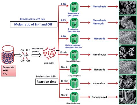 Morphological Evolution Of Zno Nanostructures And Their Aspect Ratio Induced Enhancement In