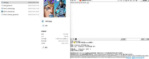 Nssctf Round29 Basic Misc个人赛 官方解题思路密码是272727 Csdn博客