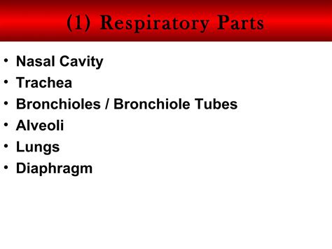 Anatomy Unit 2 Notes The Respiratory System Ppt