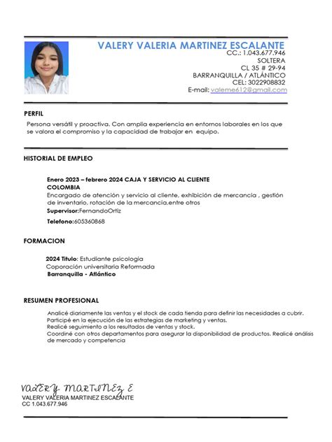 Curriculum Valery Martinez Escalante 2024 Pdf Sector Privado Procesos De Negocio