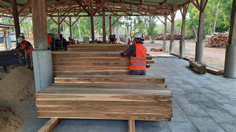 Wood Processing — Candb Timber