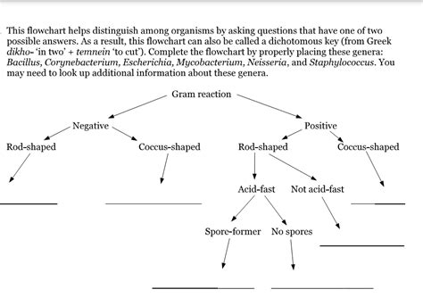 Answered This Flowchart Helps Distinguish Among Bartleby