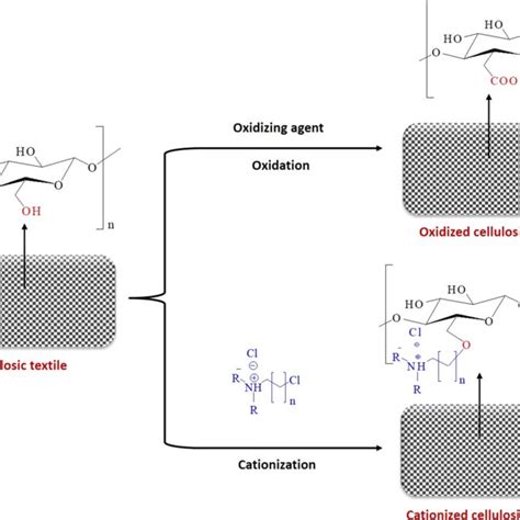 Schematic Diagram For Activation Of Cellulosic Textiles Download Scientific Diagram