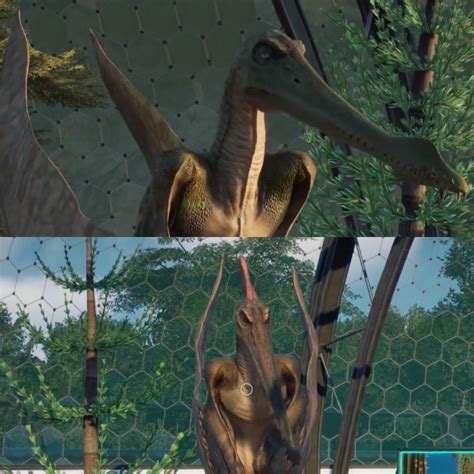 Jurassic Park Builder Pteranodon Evolution Jurassic Park Builder Pteranodon Evolution
