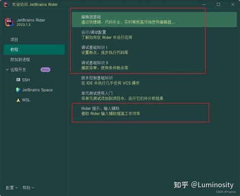 Jetbrains Rider 简单使用配置 知乎