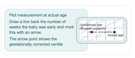 Growth Knowledge Summary Flashcards Quizlet