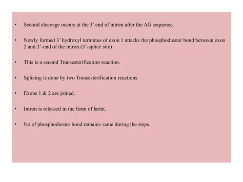 Post Transcriptional Processing Ppt