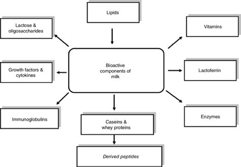 1 Schematic Representation Of Major Functionalities Of Bioactive