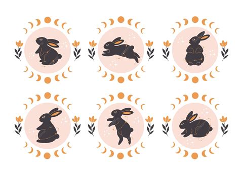 Premium Vector Cute Black Rabbits Collection With Astrological