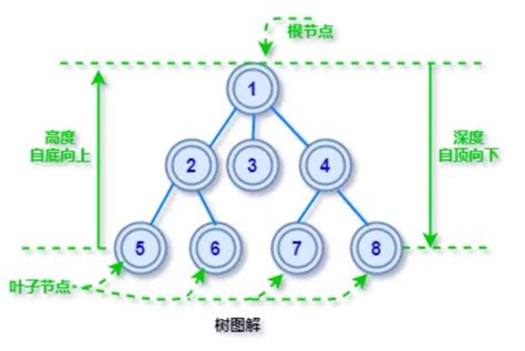 信息学奥赛初赛天天练 74 Noip2016普及组 基础题5 树、父节点、根节点、叶子节点、非叶节点、组合、组合排除法 New Code