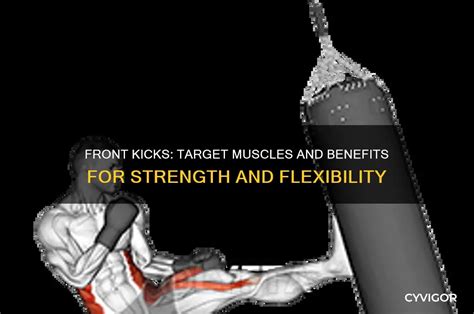 Front Kicks Target Muscles And Benefits For Strength And Flexibility