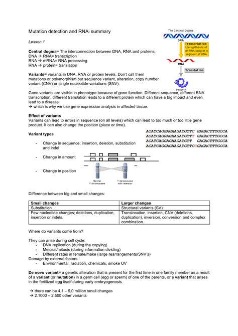 Mutation Detection And Rnai Summary Dna à Rna Transcription Rna à