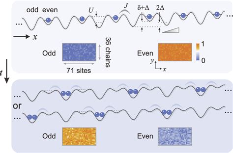 quantum simulation hauke group