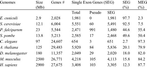 Estimate Of Total Gene Count Seg And Meg Count In Different