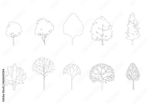 Tree Line Drawing Side View Graphics Trees Elements Single Object Outline Minimal Plant Symbol