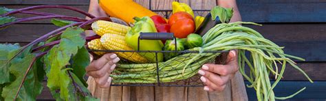 기치 천연 직물로 만든 린넨 드레스를 입은 소녀의 손에 유기농 농장 채소가 있는 친환경 개념 신선한 생 콜리 플라워 녹두 호박