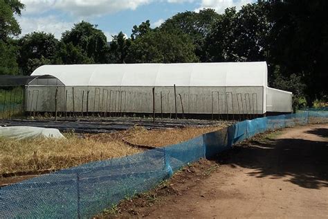 Horticulture Unit Department Of Crop Science And Horticulture