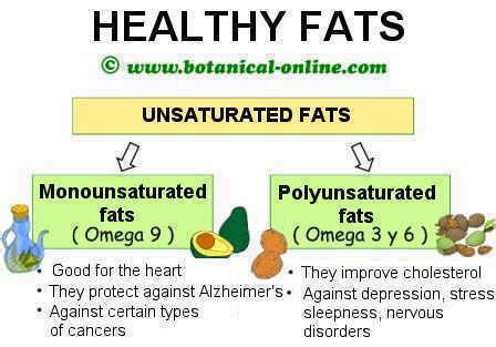 Monounsaturated Fats