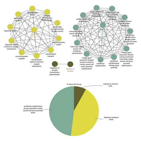 Results Of Gene Ontology Go Function Enrichment Analysis The Cluster Download Scientific