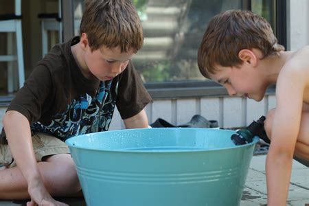 FLUTTER FLUTTER Lego Water