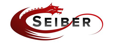 Seiber On Linkedin Bcs Foundation Certificate In Information Security