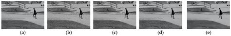 Temporal Denoising Of Infrared Images Via Total Variation And Low Rank Bidirectional Twisted