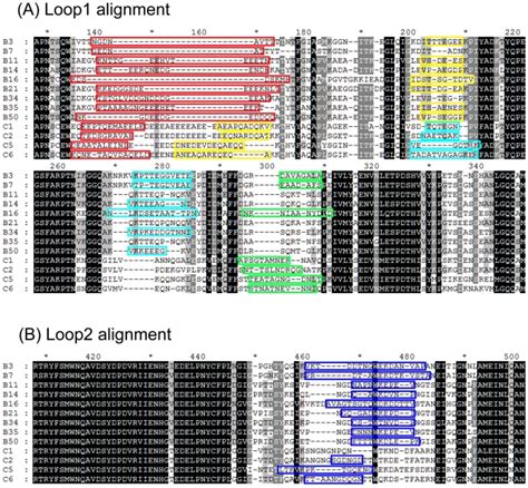 Boxes Colored With Red Yellow Cyan And Green In Loop1 A And Blue