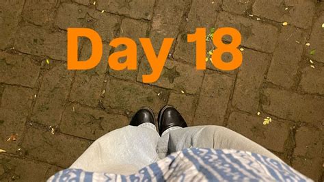 I Projected High Intellect And Caught Myself Day 18