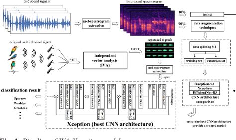 Figure 1 From Blind Source Separation‐based Iva‐xception Model For Bird