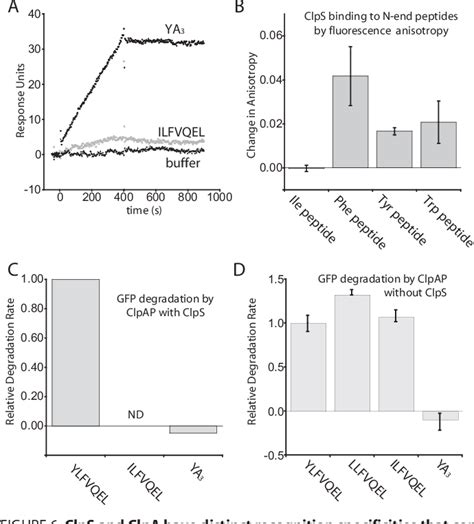 Figure 1 From Tuning The Strength Of A Bacterial N End Rule Degradation