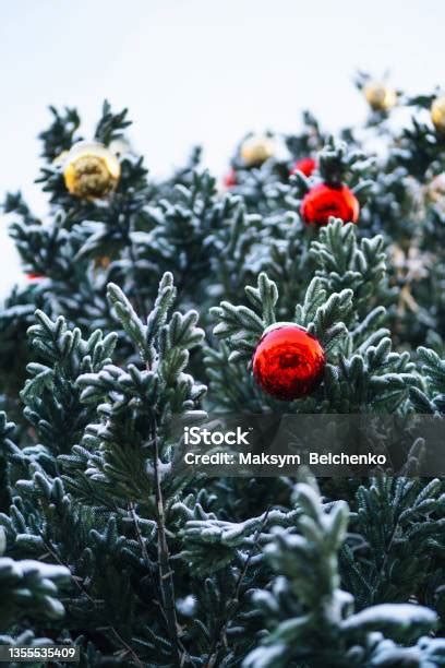 눈 아래 자연 크리스마스 트리에 공 장식 새해 컨셉 겨울 방학 겨울에 대한 스톡 사진 및 기타 이미지 겨울 축하