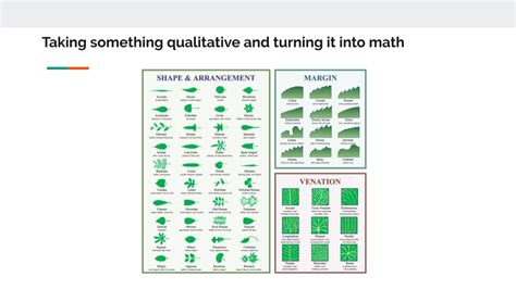 Hyperbolic Geometry Of Dmt Experiences Copy 4 Qualia Computing