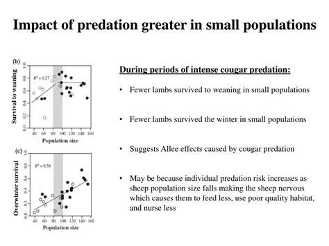 PPT Density Dependent Population Growth PowerPoint Presentation Free Download ID 1940123