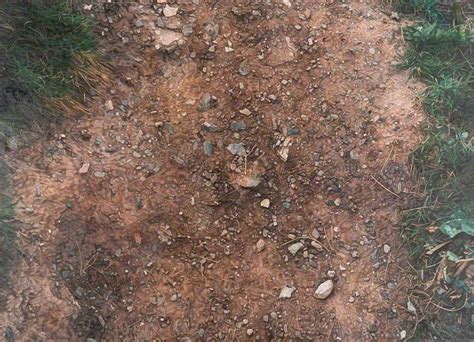 Ibbotson Diane B 1946 Art Uk