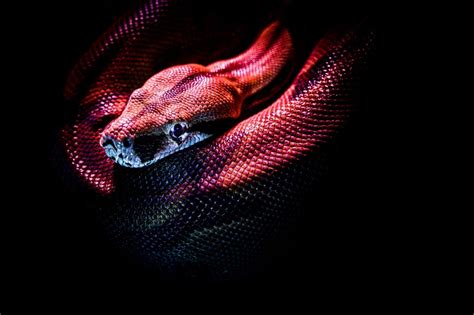 implementing smart contracts using vyper a python approach