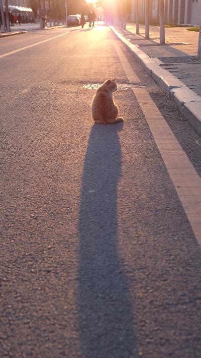 图库 FunnyWii s Zone