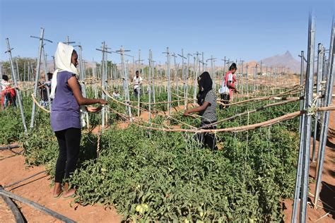 A Letter From Eritrea One Magazine