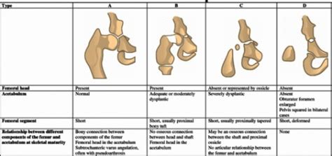 © Copyright Policy Openaccess