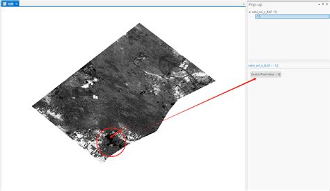 qgis why does geoserver convert negative values in an 8 bit signed