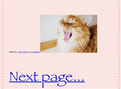 blog codingbug