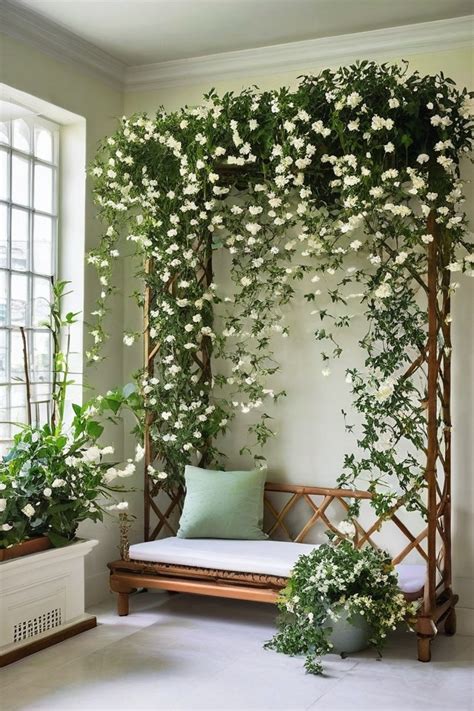 10 Best Climbing Plants Indoor