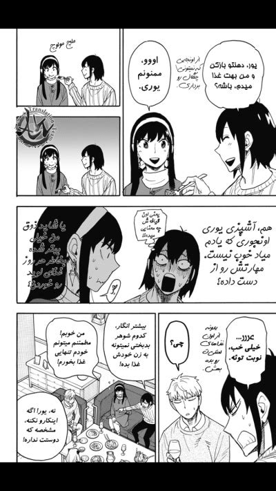 خانواده جاسوس فصل۳ پارت۱۲ تستچی