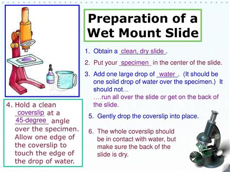 The Microscope Ppt Download