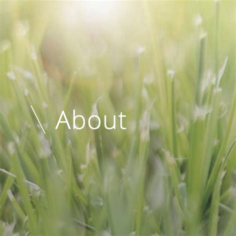 About ICL Specialty Fertilizers. | ICL Specialty Fertilizers
