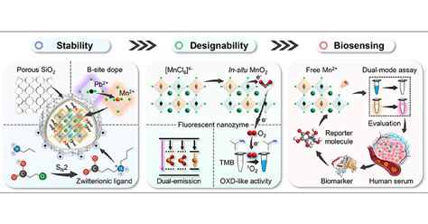 Trinity Strategy Enabling Perovskite As Hydrophilic And Efficient