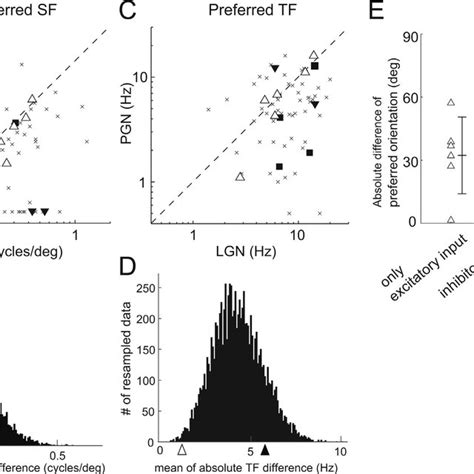 A Model For Pgnlgn Neural Circuit Based On Sftf Tuning Properties