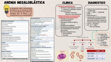 Anemias Megaloblastica Denilson Zubiate Udocz