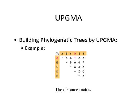 Phylogenetic Analysis Ppt Download