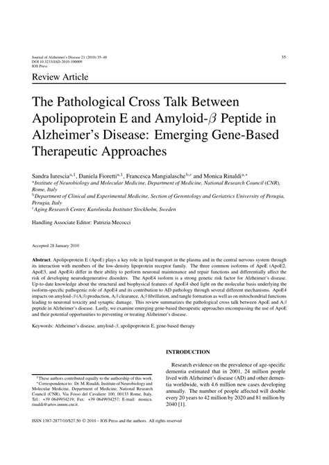 Pdf The Pathological Cross Talk Between Apolipoprotein E And Amyloid Beta Peptide In Alzheimer