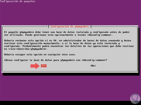 cómo instalar y seguridad phpmyadmin en ubuntu 18 04 solvetic